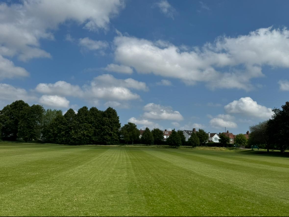 What’s the plan for the day? - South Bristol Voice